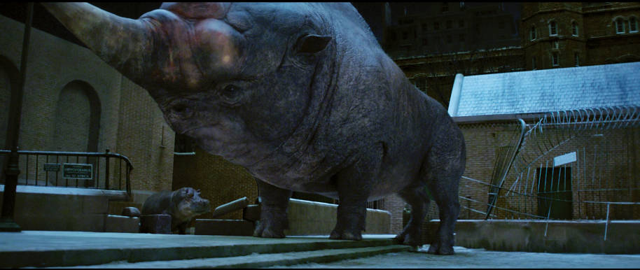 ‘The Erumpent’ – The Music Of The Wizarding World